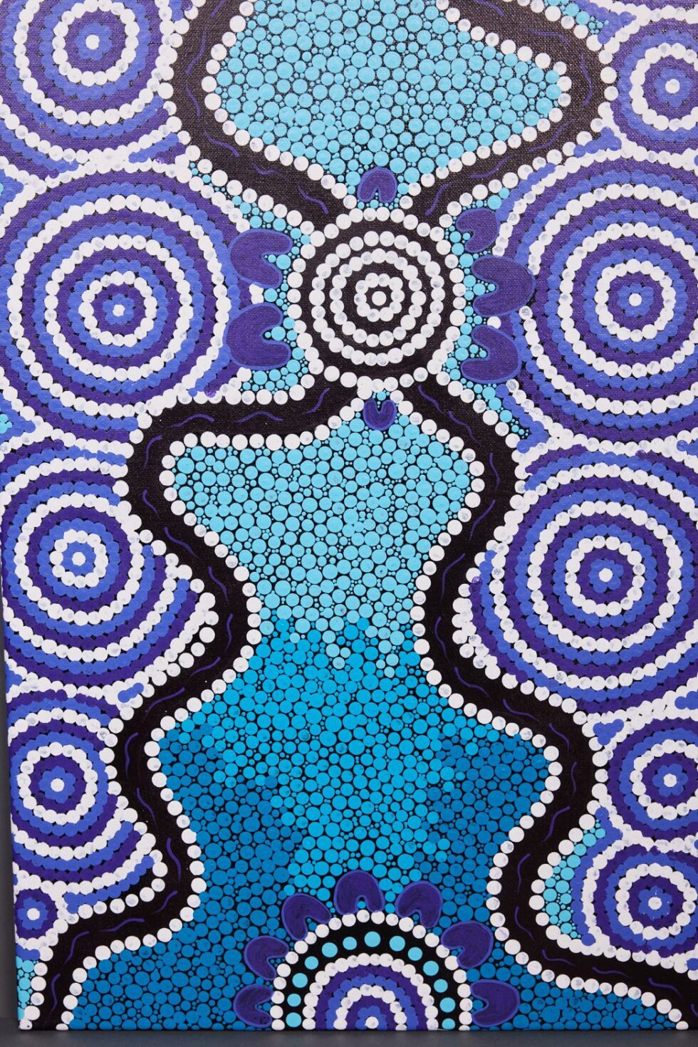 Sanofi Reconciliation Action Plan Artwork | Jeremy Donovan